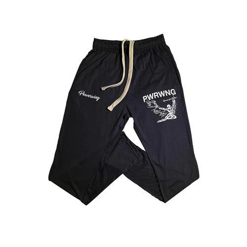 Products – POWERWING