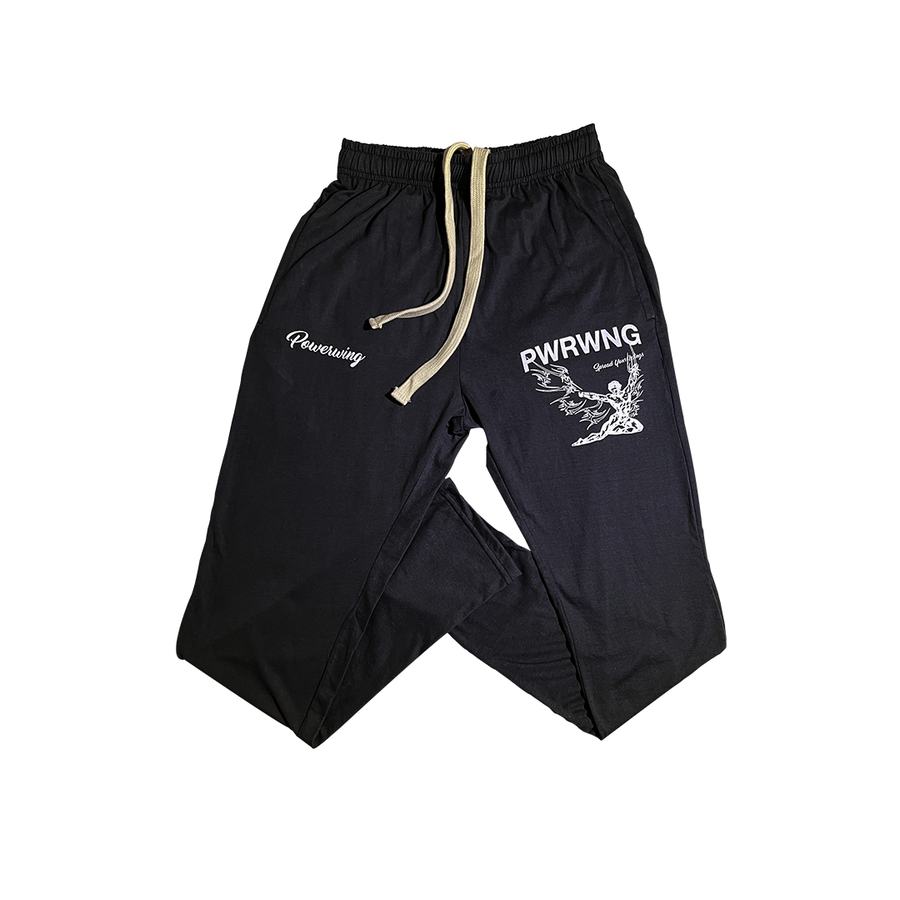 Products – POWERWING